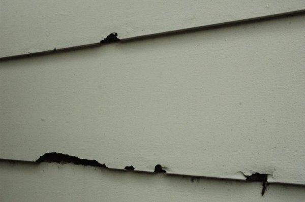 Asbestos Cladding Solutions in NZ | Revolve Asbestos